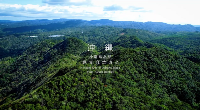 やんばる3村（国頭村・大宜味村・東村） - ryupot(りゅぽっと)